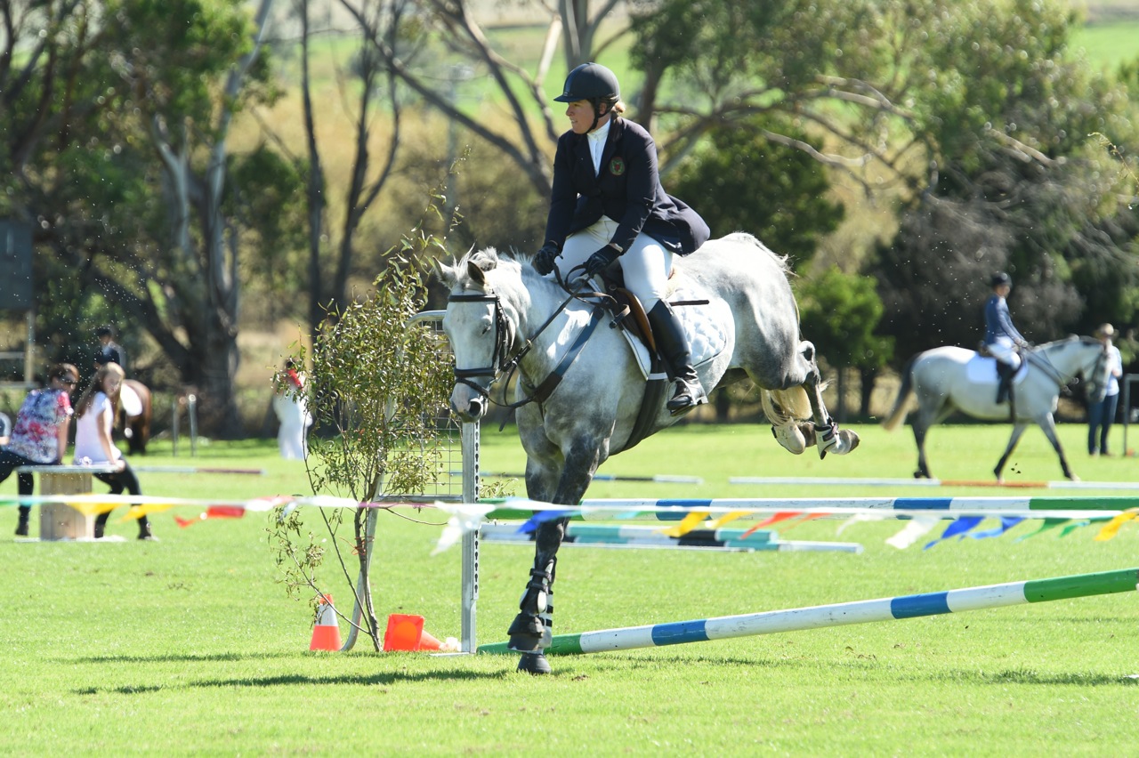Equestrian Events